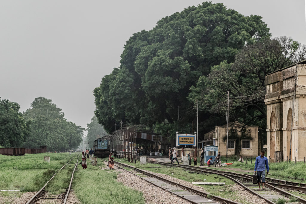 The Terai Trains – Revisited – Shashanka Nanda
