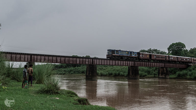 The Terai Trains – Revisited – Shashanka Nanda